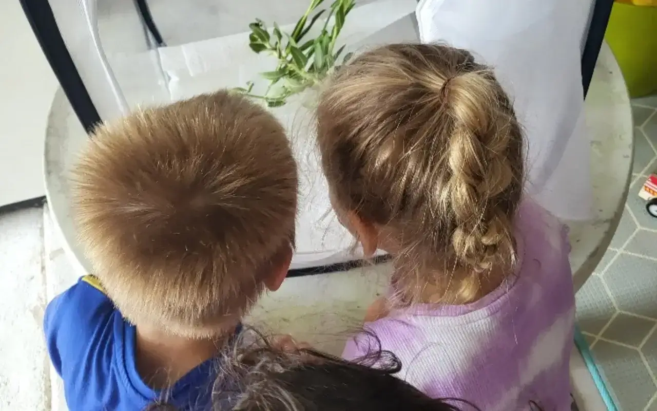 Impact Of The Learning Environment In Early Childhood Education